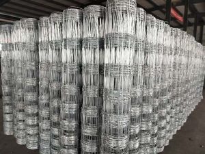 Galvanized Wire Mesh Fence | GI Welded Fence Panel