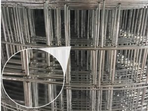 Galvanized Wire Mesh Roll For Sale | Durable & Cheap | Full Size