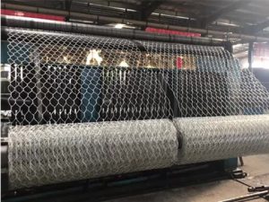 Galvanized Chicken wire Mesh | Gi poultry netting | Factory full size