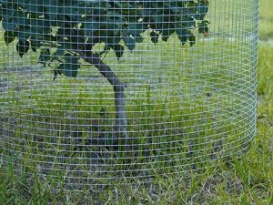 Galvanized Square Mesh In Stock | Get Price Online