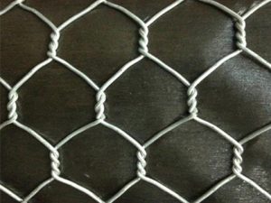 Galvanized Chicken wire Mesh | Gi poultry netting | Factory full size
