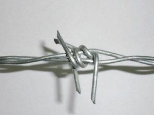 Galvanized Barbed Wire | Rustproof & Durable | Bulk Price, All Size