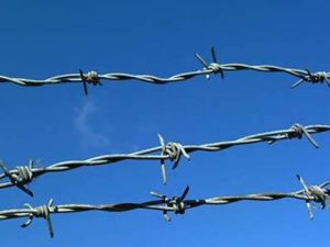 Razor Wire VS Barbed Wire | Which One Is Better?