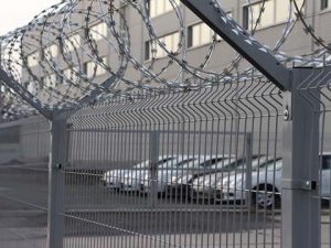 Razor Wire VS Barbed Wire | Which One Is Better?