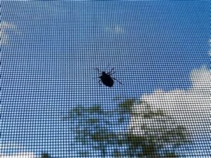 Insect Screen for Window & Mosquito net | 304/316 Stainless Mesh, All size