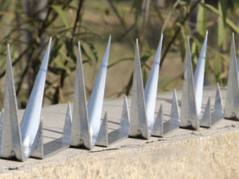 Anti Climb Spikes | Wall/Fence/Razor Security Spike | Galvanized/SS ...